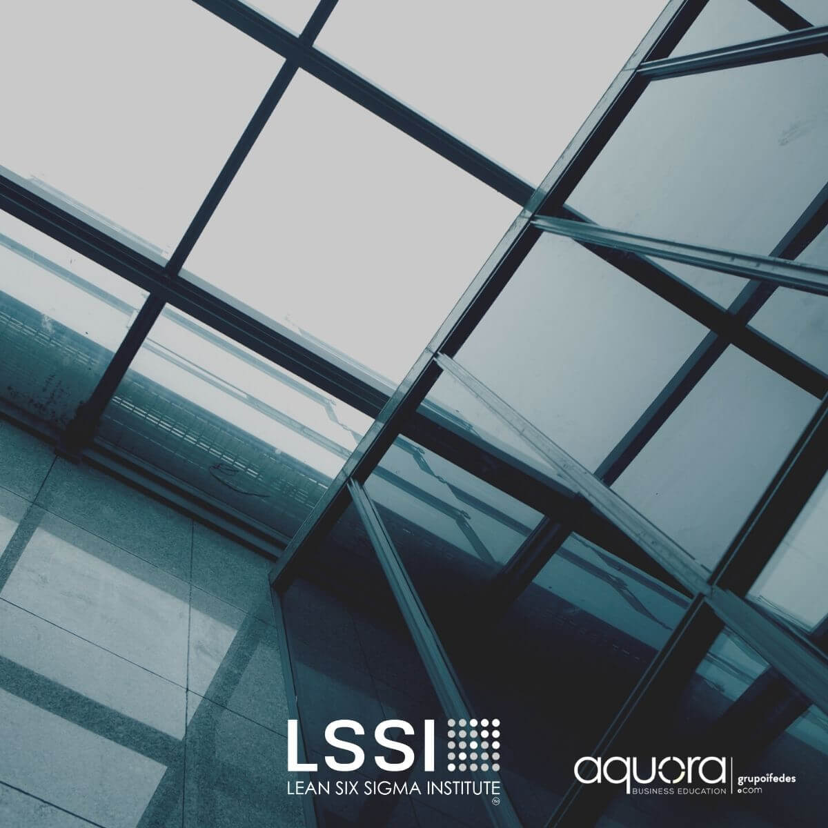 Online – Lean Banking y Cultura Organizacional – Aquora